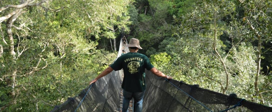 Volunteer Holidays | Projects Abroad